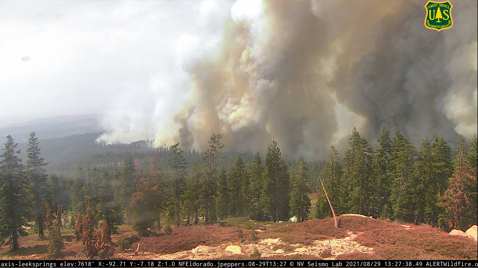 The Battle of Leek Spring Hill, Caldor Fire 2021 – The Pine Tree