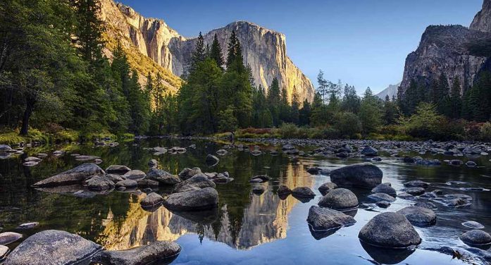 The Pine Tree – The Celebrated News of Calaveras County and Beyond