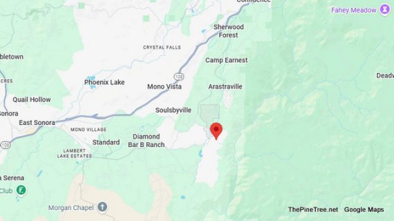 Traffic Update….Vehicle vs Fire Hydrant on Carter Street – The Pine Tree